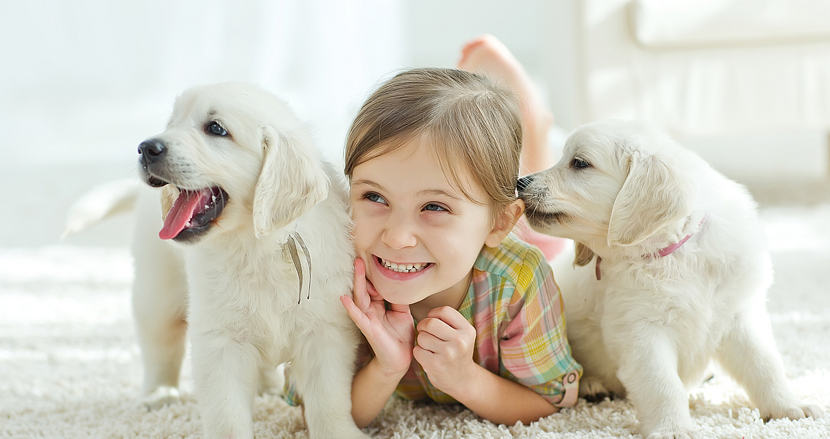 Das Haustierportal: Kind und Hund – das Für und Wider